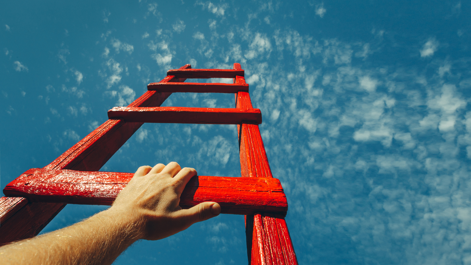 Weekly Roundup: How to Climb the Ladder, The Best Question is the One ...
