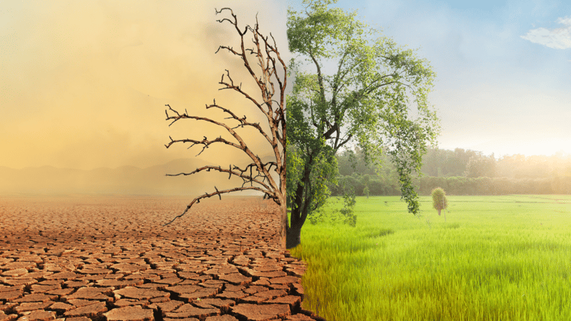 Understanding the Seasonal Nature of Sales: Challenges and Opportunities